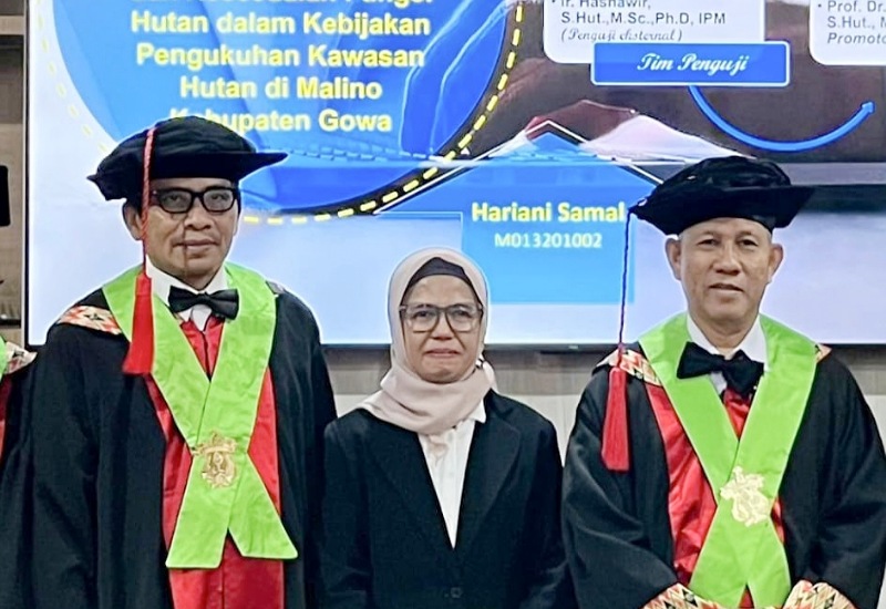 Teliti Kawasan Hutan Malino, Direktur KLH Hariani Samal Raih Gelar ...
