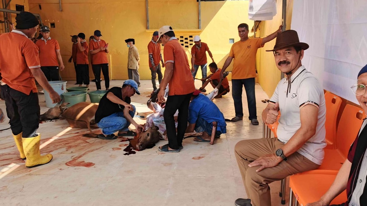Masjid Jannatul Firdaus Telkomas Makassar Sembelih 13 Sapi - Majesty.co.id