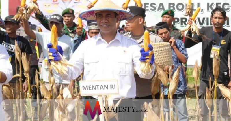 HKTI nilai Kebijakan Mentan soal Harga Jagung akan Bikin Hasil Panen Bertambah - Majesty.co.id
